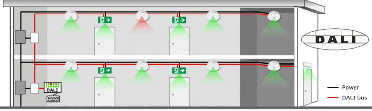 DALI and Self-Test for Emergency Lights | ELP
